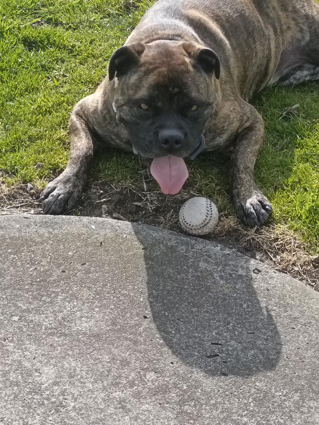 Gary needs knees - Updates - Givealittle