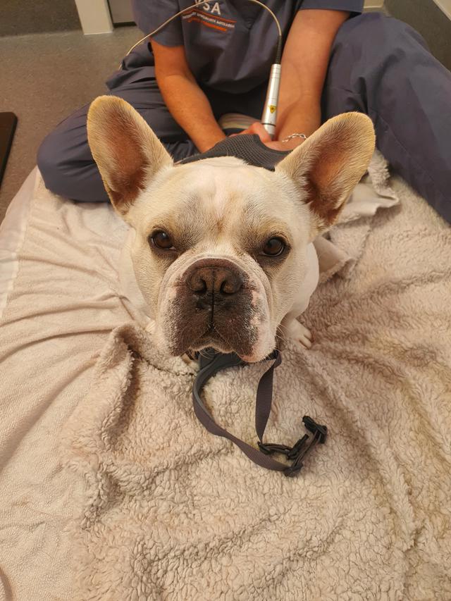 Please help Sarge - Updates - Givealittle