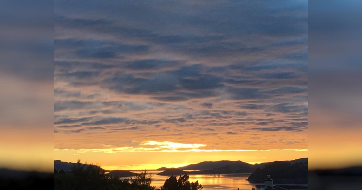 Charity boxing - Supporting the "Taranaki Retreat" - Givealittle