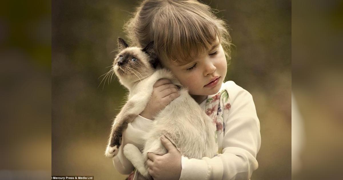 QT CATs - Givealittle