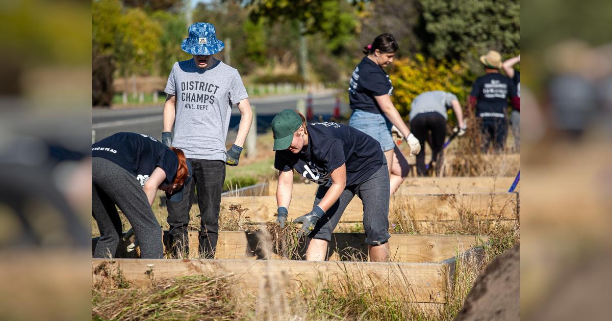 Mini Give | Ratonga Tūao - Givealittle