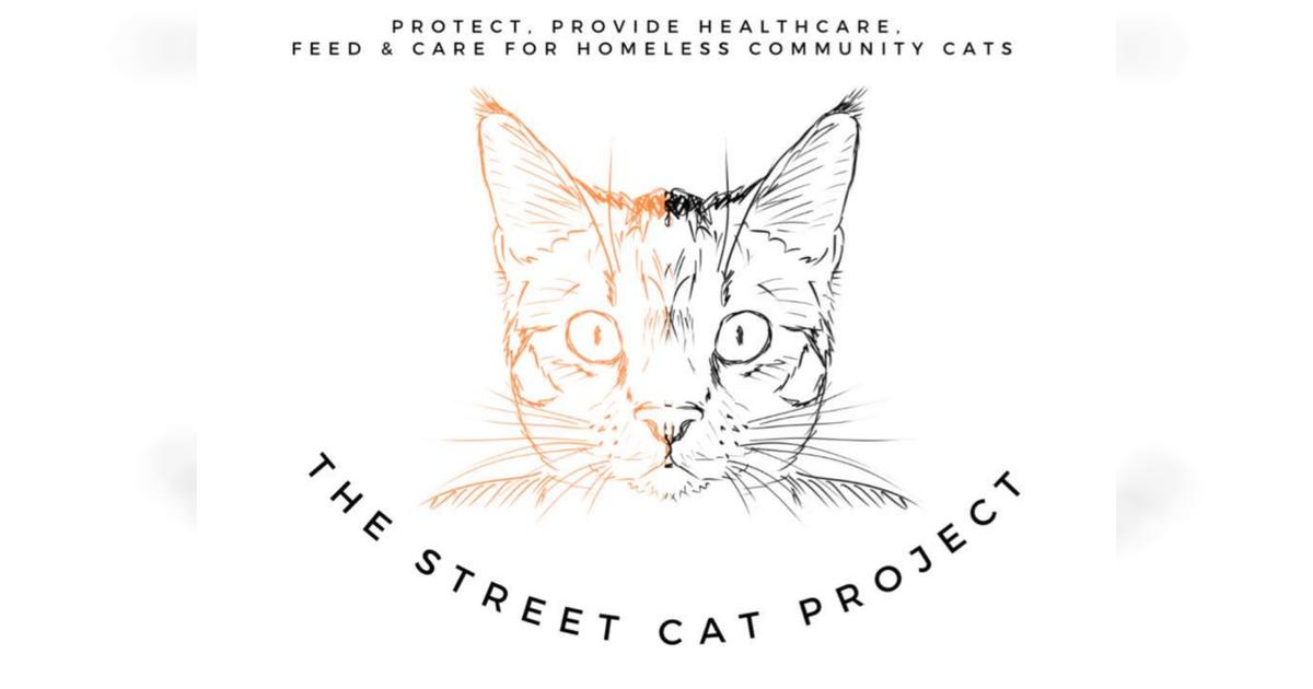 The Street Cat Project - Givealittle