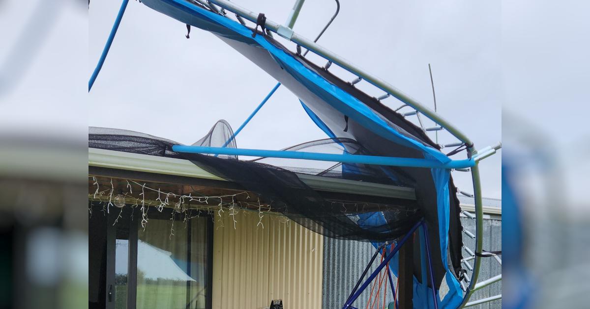 Little Girls Tramp - Givealittle