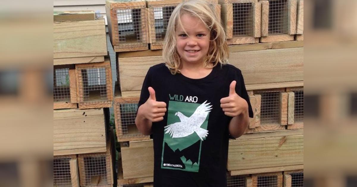 Wild Aro: trapping predators and bringing back the birds! - Givealittle