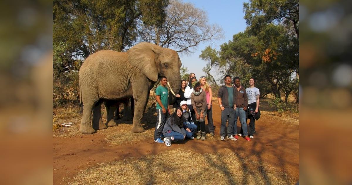 South African Conservation - Givealittle