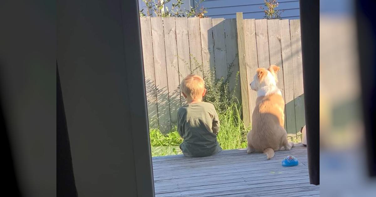 Valkyrie needs knee surgery - Givealittle