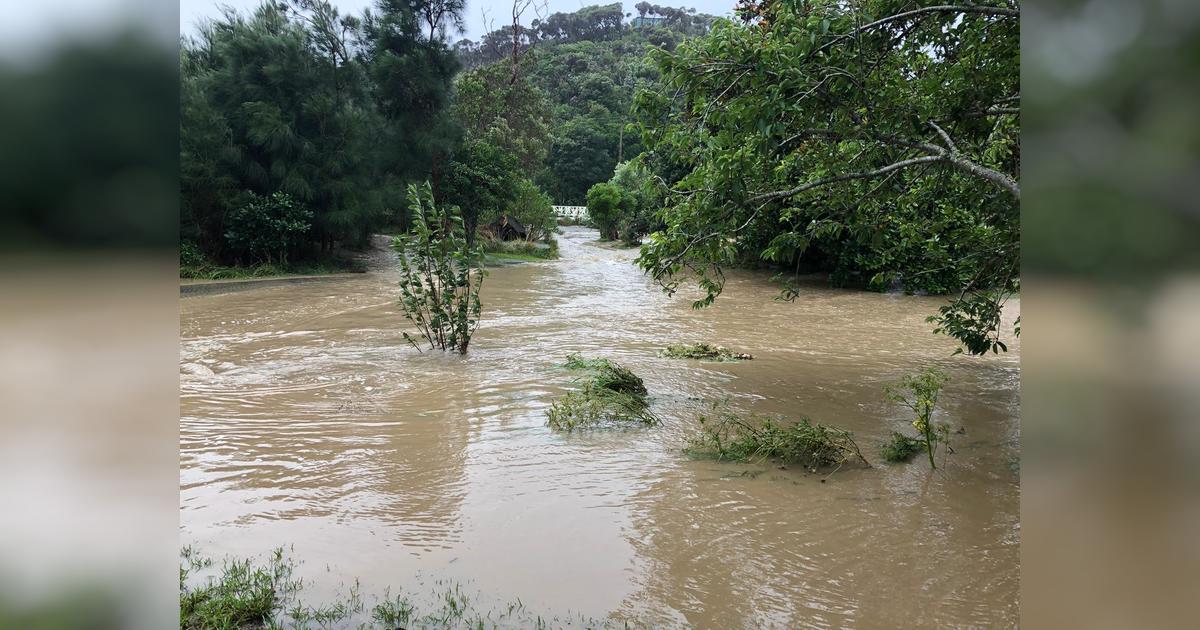 Helping Liz and Rose Worley after the damage from Cyclone Gabrielle ...