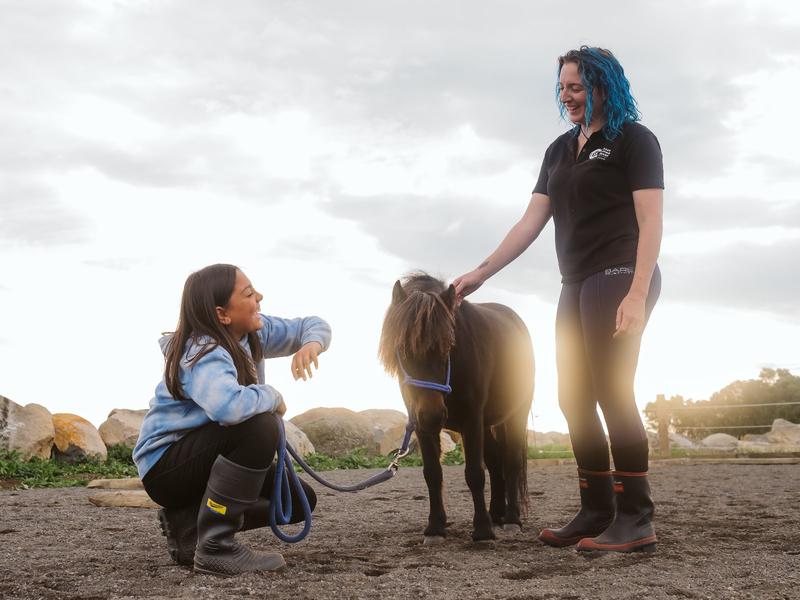 Help Horses Helping Humans Taranaki finish renovating our whare ...