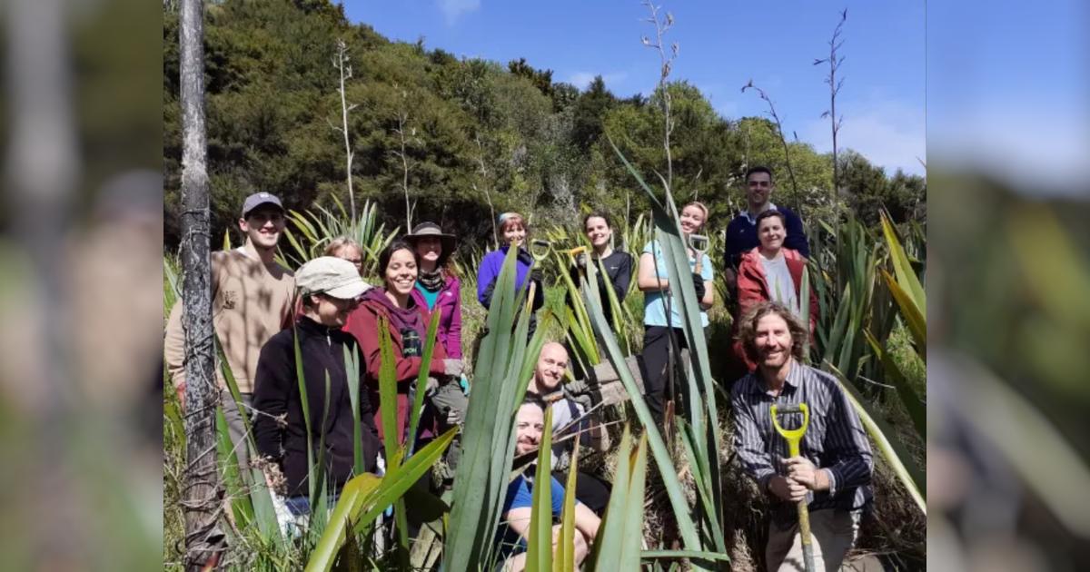 Forest and Bird Protection Society, Hauraki Gulf Islands - Givealittle