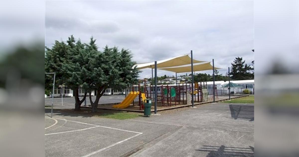 Sunnynook Primary School Hall Project - Givealittle