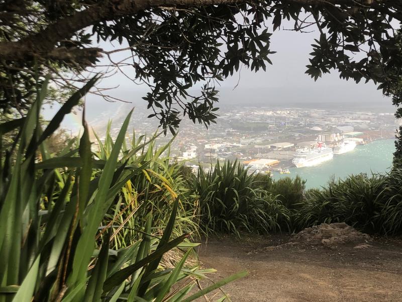 Every step counts - Updates - Givealittle