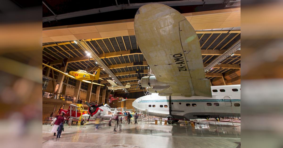 Help restore the Solent at MOTAT - Givealittle