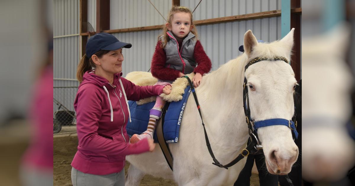 Sponsor Casper the Friendly Horse - Givealittle