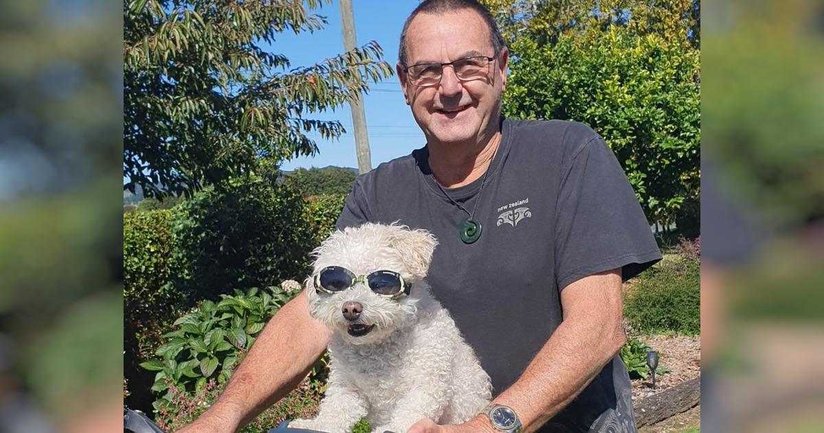 Huntly pup mauled to death, while the pups owner watched helplessly ...