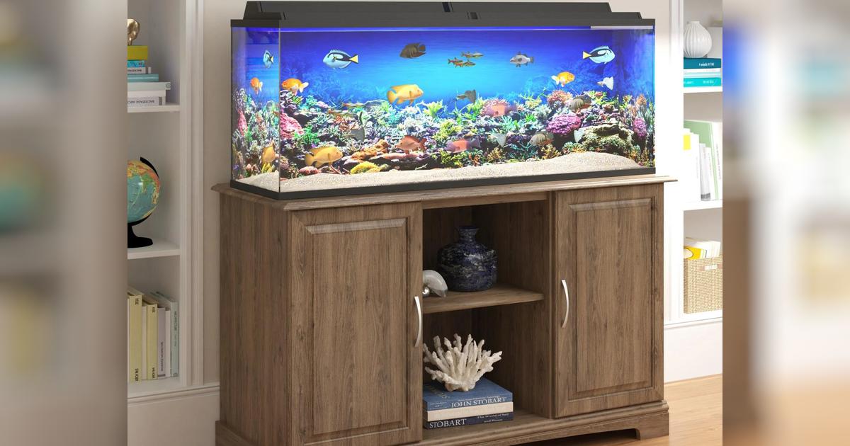 Let’s lift our colleagues Spirits – One Fish at a Time - Givealittle