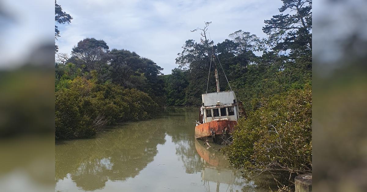 Weiti River restoration project - removing the Wakatu - Givealittle