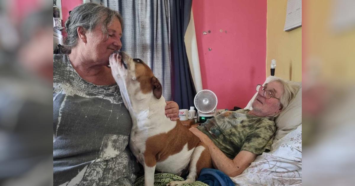 Mrs Palmer needs our help! - Givealittle