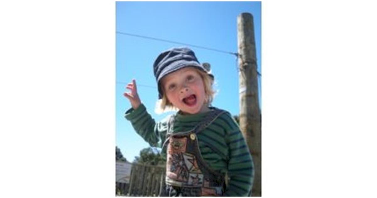 Aro Valley Pre-School - Givealittle