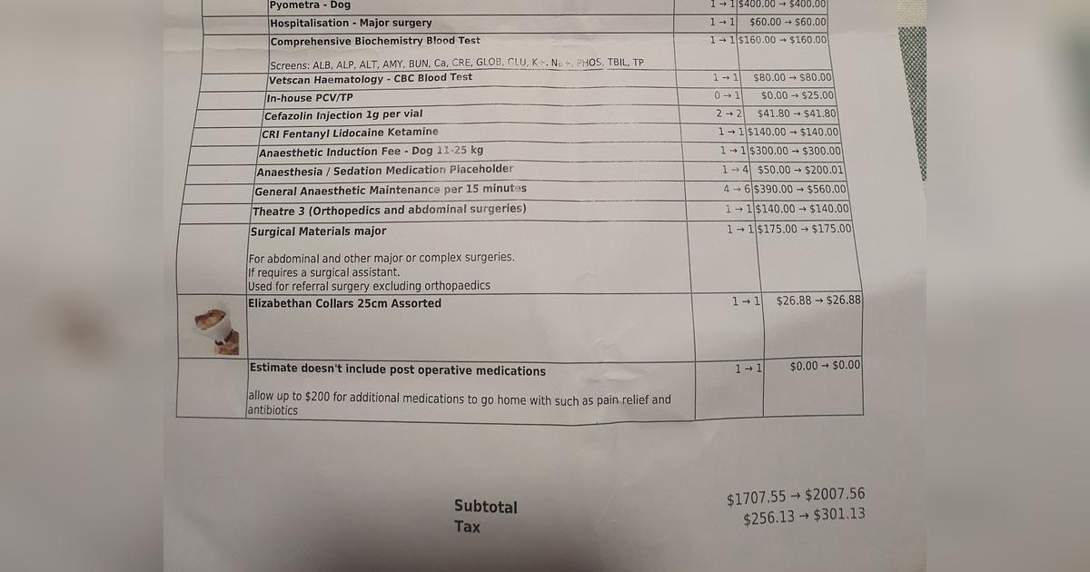 PLEASE......!!!!! HELP US WITH OUR FUR BABIES VET BILL - Givealittle