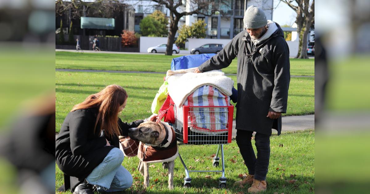 A Very 'Street Tails' Christmas - Pet's of the Homeless Project ...