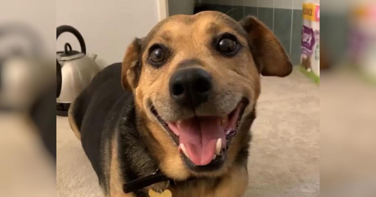 Please help save Randy, desperate need of surgery - Givealittle