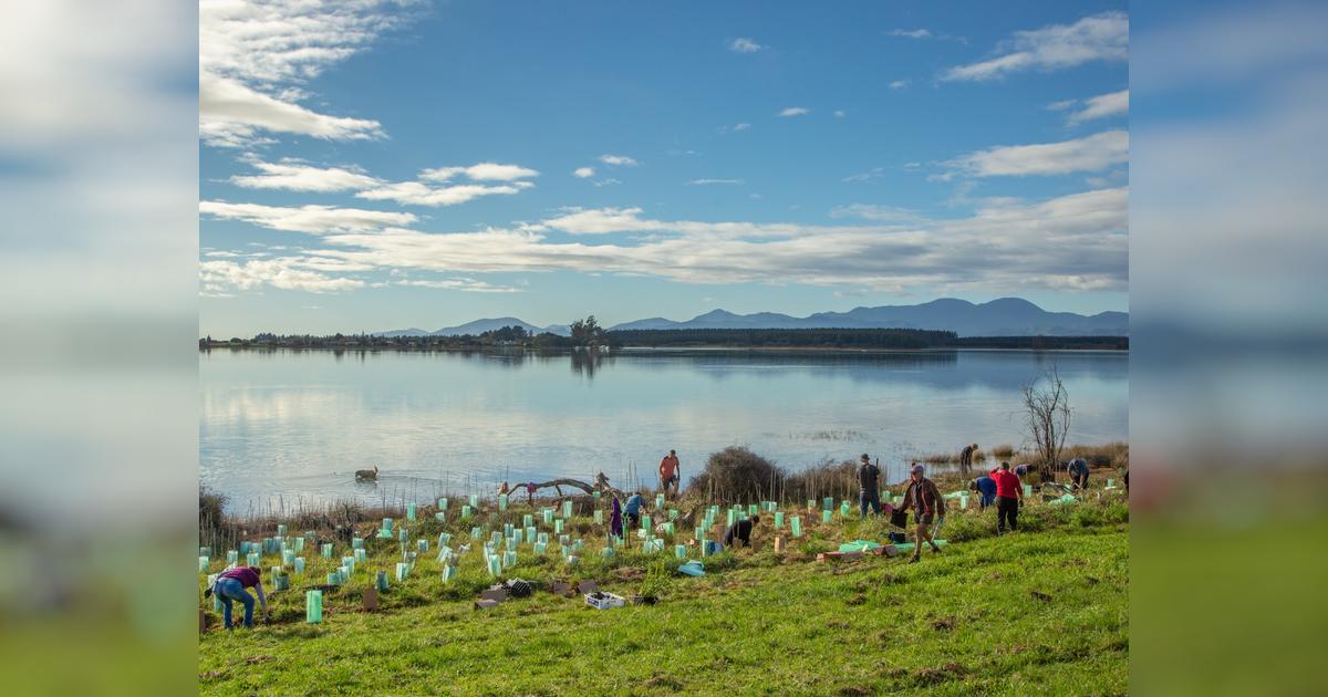 Tasman Environmental Trust - Givealittle