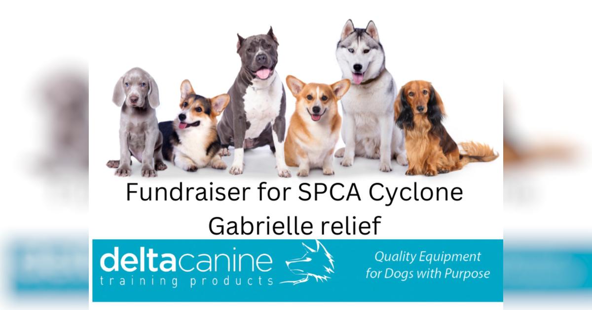 Donate to SPCA Cyclone Gabrielle disaster relief fund - Givealittle