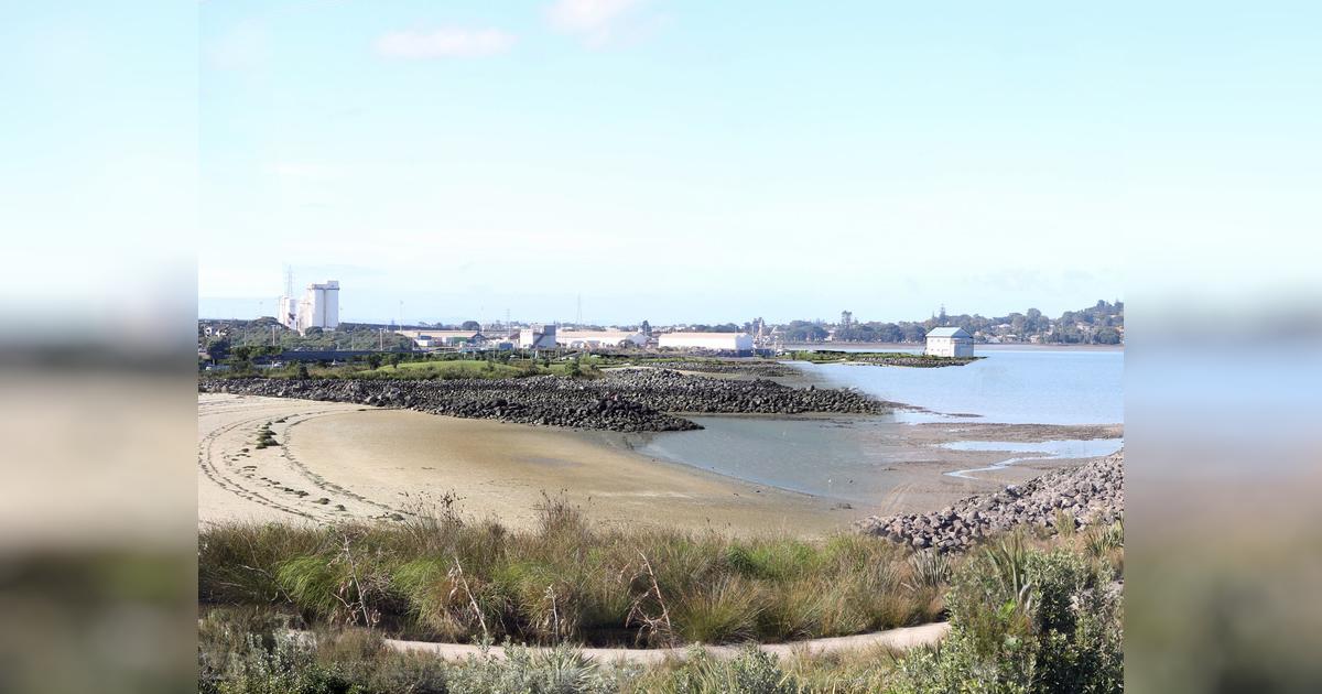Restore our Foreshore - Onehunga Foreshore Restoration - Givealittle