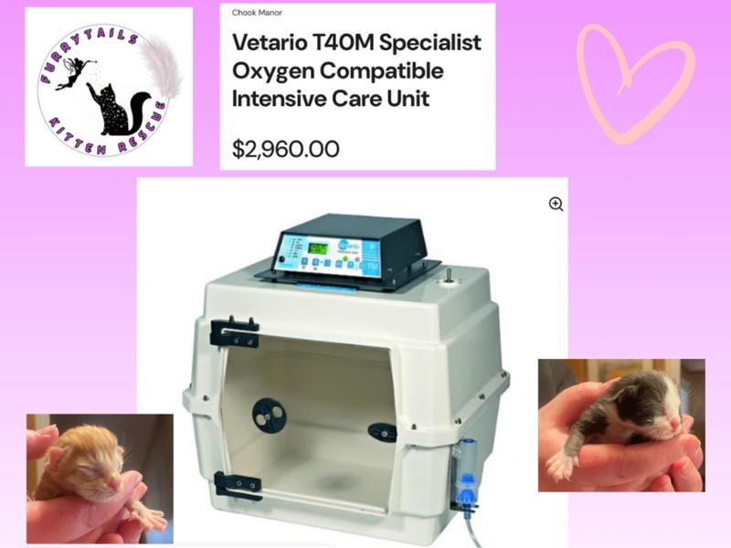 Help Us Save Our Tiniest Lives - Updates - Givealittle