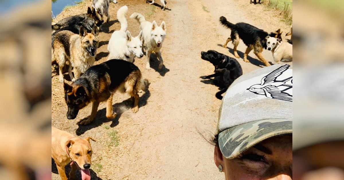 Help our New Zealand K9's Earth Angel - Givealittle