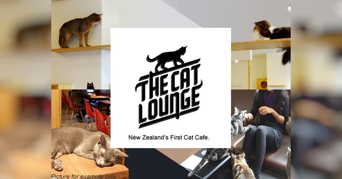 The Cat Lounge NZ's first Cat Cafe - Givealittle