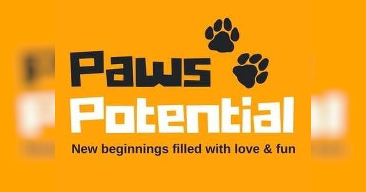 Paws Potential - Animals Rescue - Bay of Islands - Givealittle