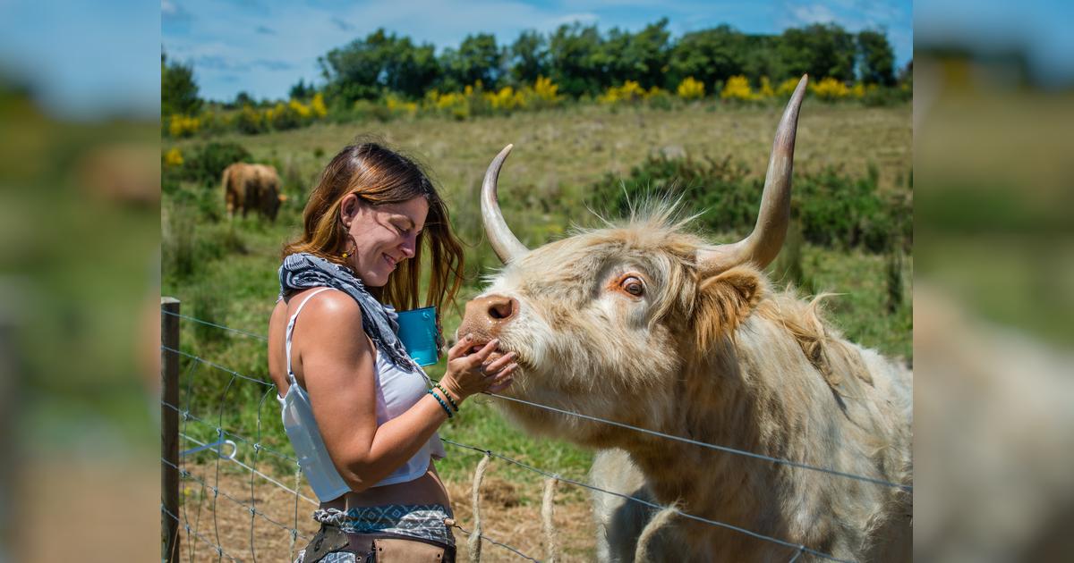 Animal Farm Rare Breeds Farm Park - Givealittle