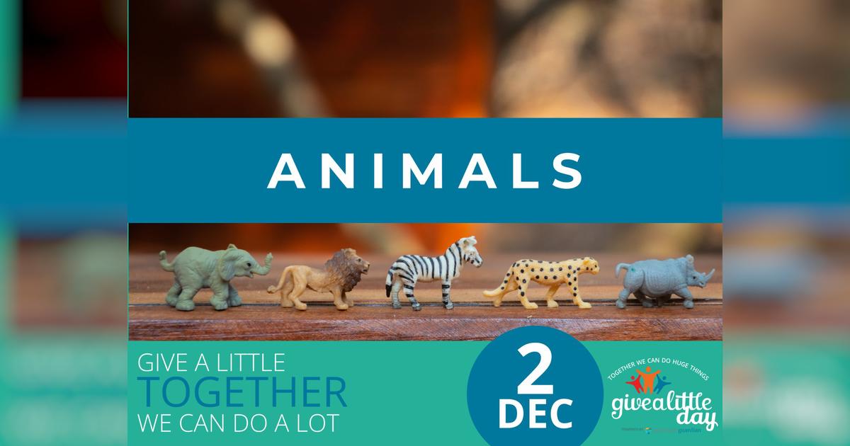 Animals - Givealittle