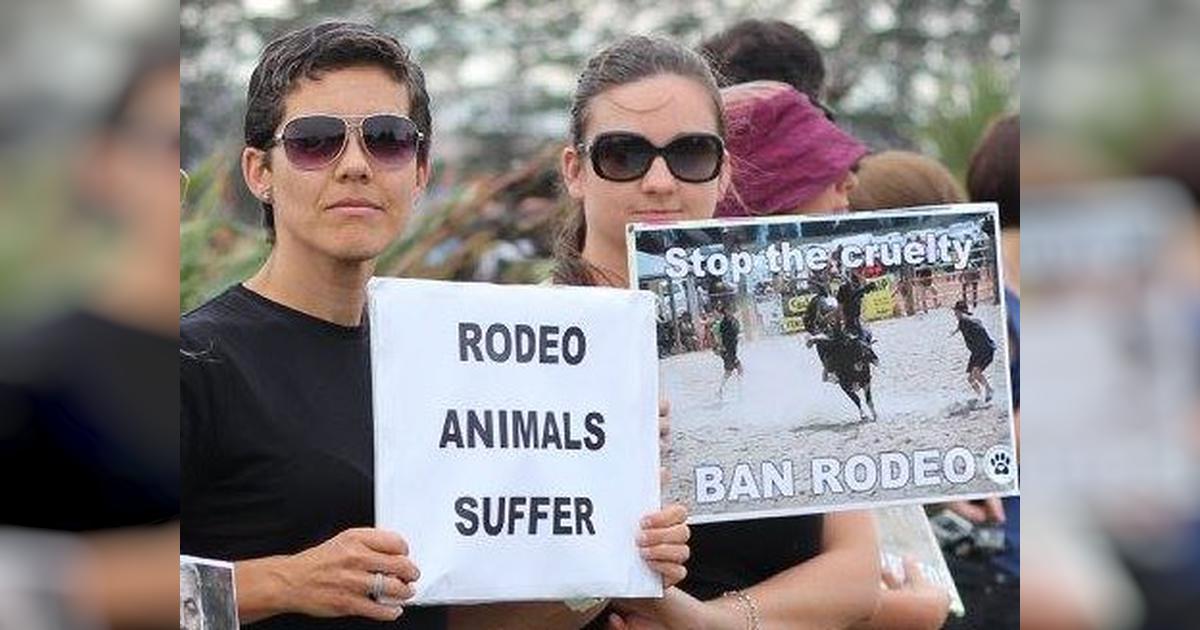 Help WARN Ban Rodeo - Givealittle