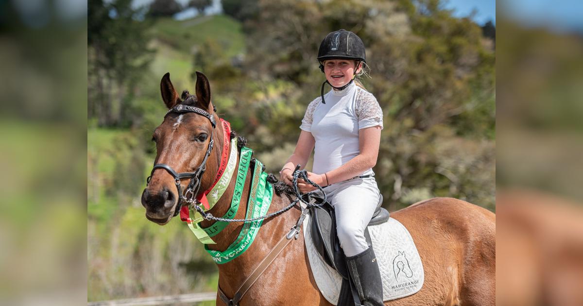 Support for Niki and the Mitchells - Givealittle