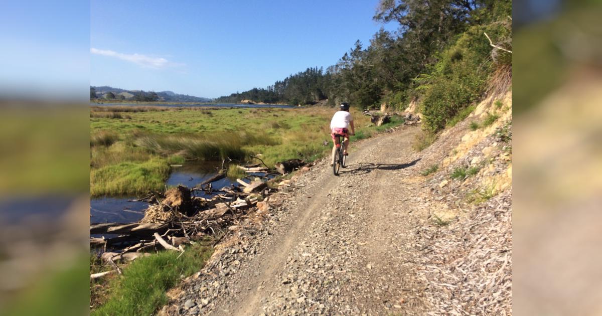 Hikuai District Trust - Givealittle