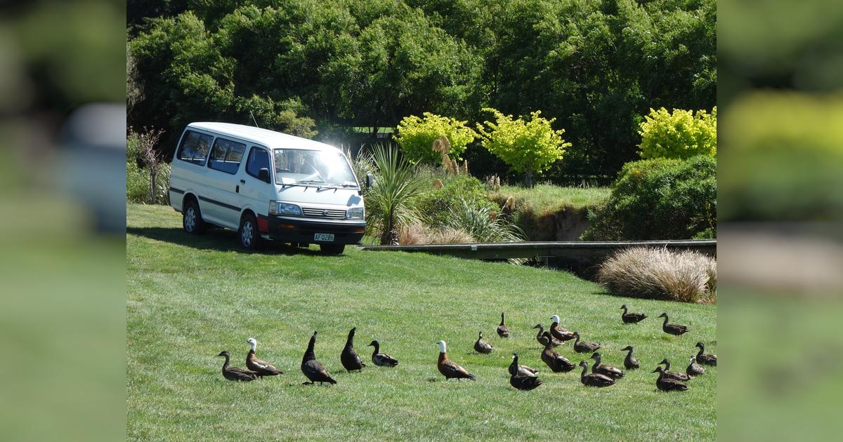 Fundraiser for stolen charity van and items taken with it - Givealittle