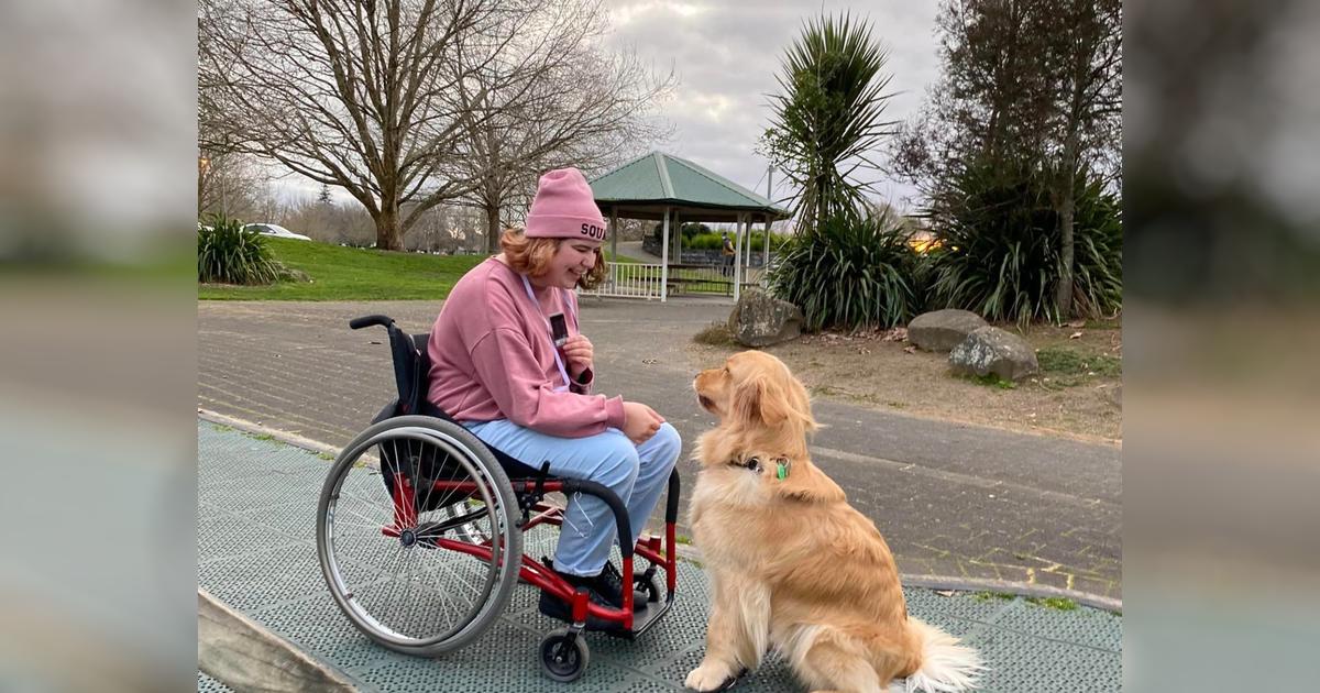 Madison's Service Dog Fundraiser - Givealittle