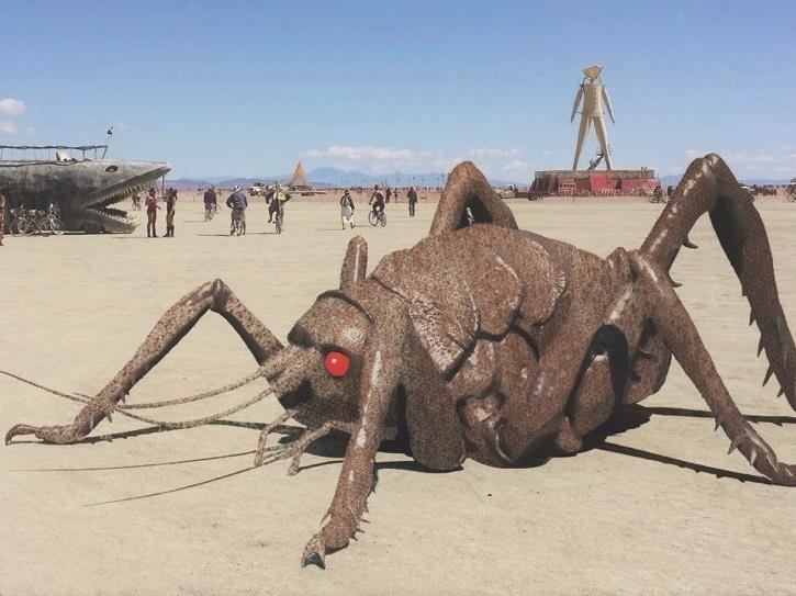 The Giant Weta - Givealittle