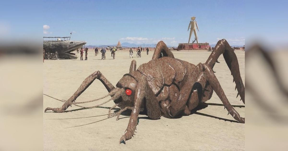 The Giant Weta - Givealittle