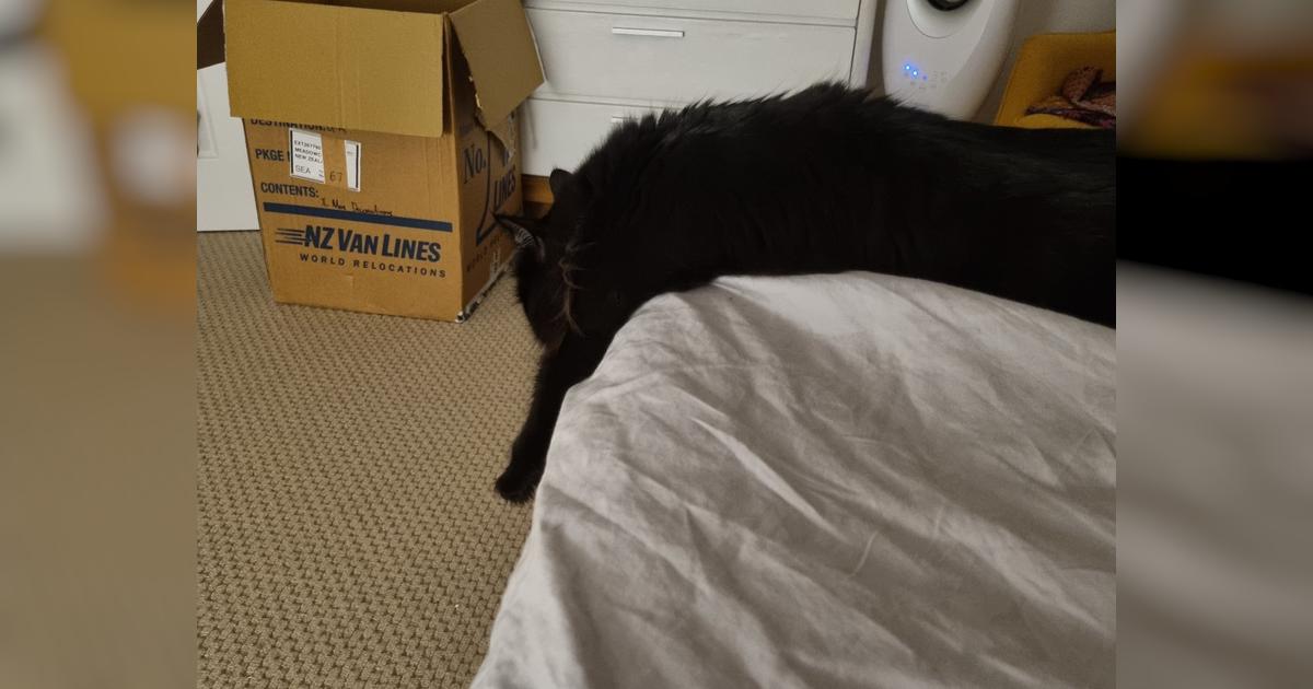 Vader's life saving surgery - Givealittle