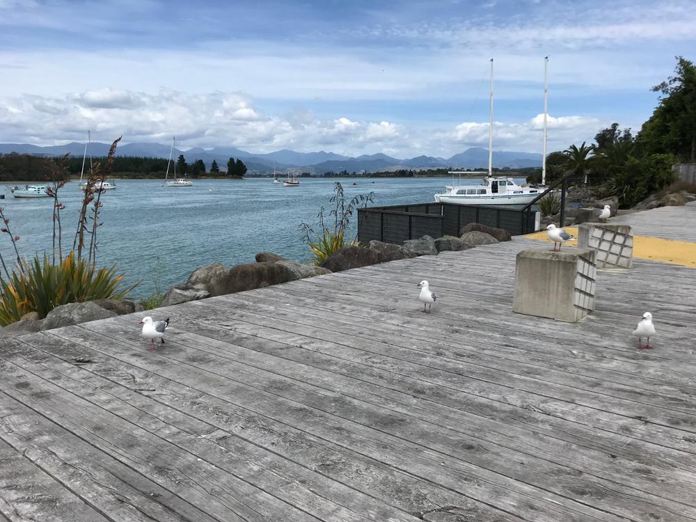 Stop the boat ramp at Mapua - Givealittle