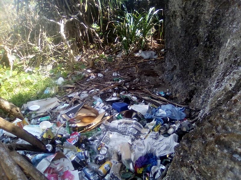 Tidy up Tonga. Please help us - Updates - Givealittle