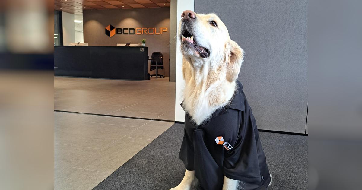 BCD Group - Givealittle