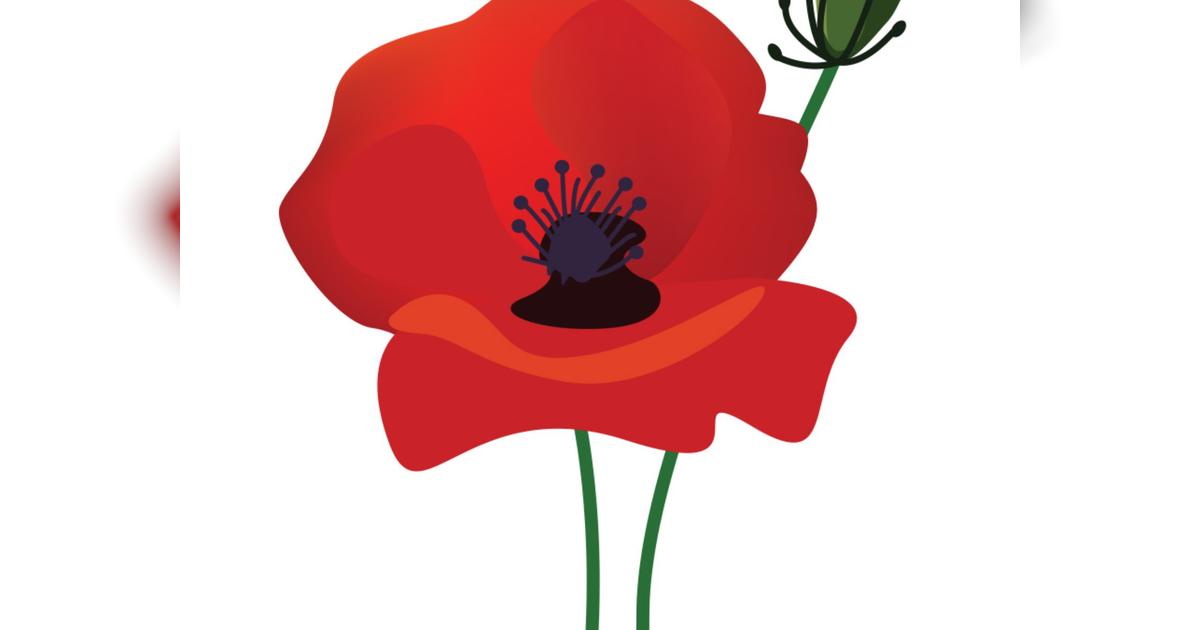 Matamata RSA - Givealittle