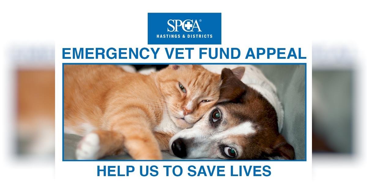 SPCA Hastings & Districts Emergency Vet Fund - Givealittle