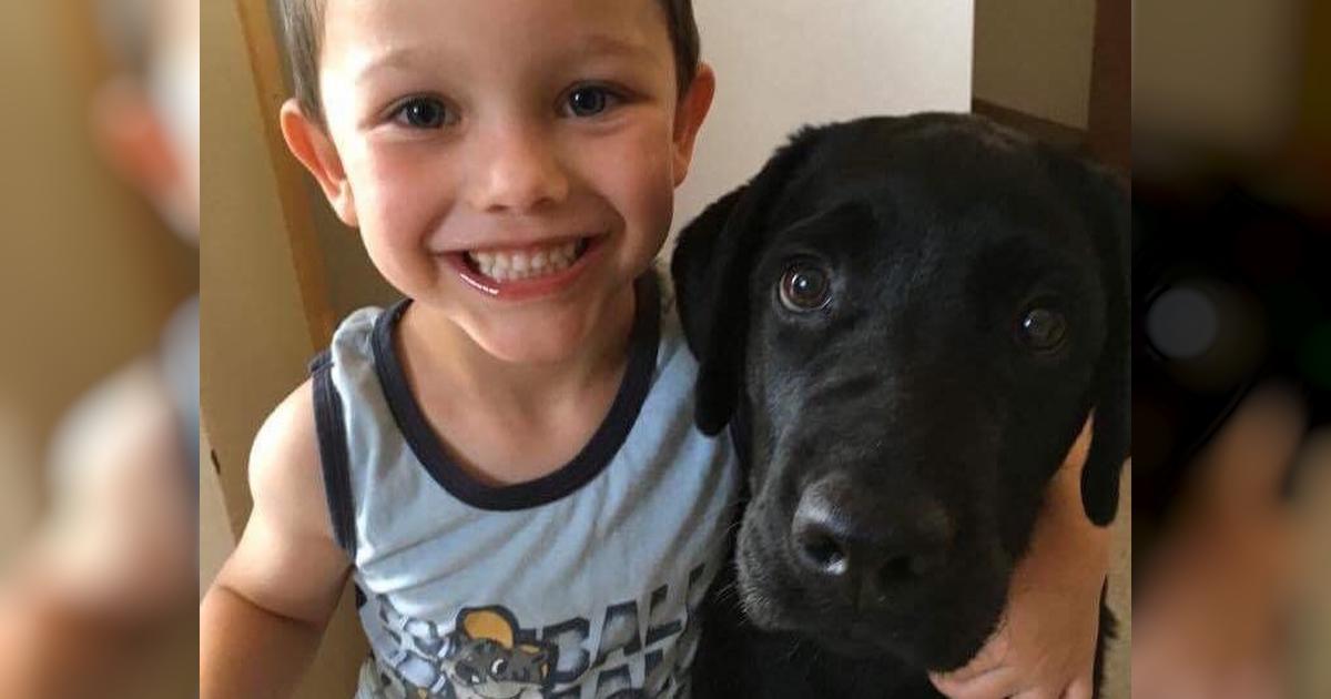 Please help us give our much loved 7 month old Labrador the surgery he ...