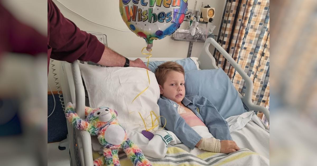 Help Harvey Fight Cancer - Givealittle