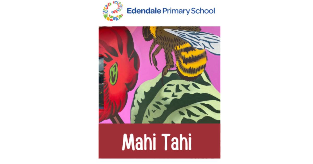 Edendale Colour Run 2025 - MahiTahi Years 4&5 (Rooms 14, 15, 16 and 17 ...